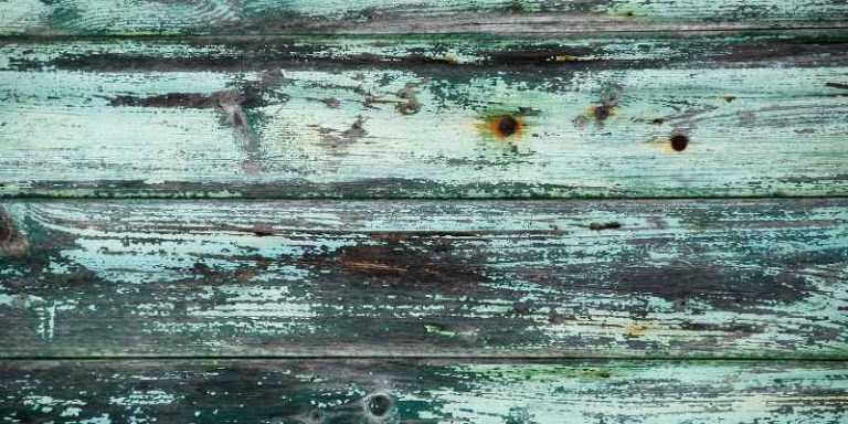 Why Does Wood Turn Green? Explained and Debunked