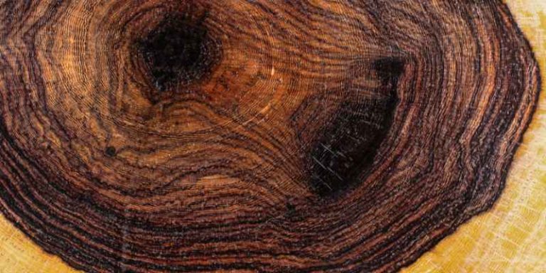 African Blackwood Wood: Unlocking the Secrets of this Rare and ...
