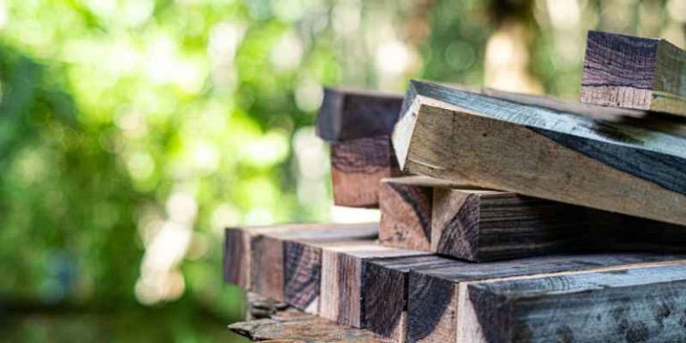 African Blackwood Wood: Unlocking the Secrets of this Rare and ...