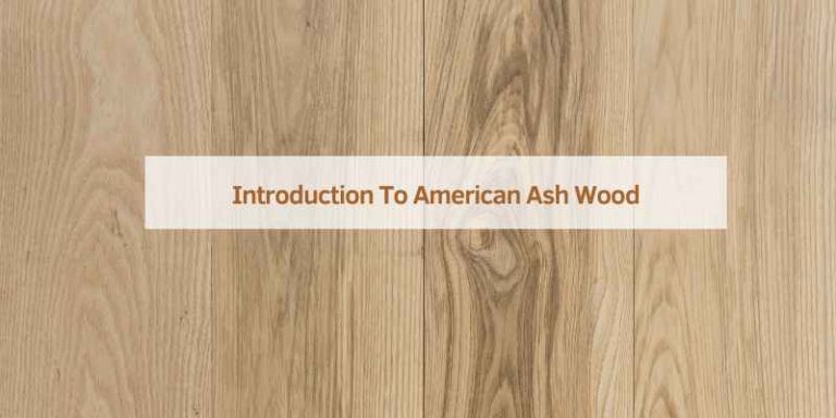 American Ash Wood: Discover Its Unique Beauty & Uses