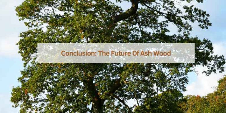 Ash Wood Facts: Unveiling Surprising Benefits and Uses
