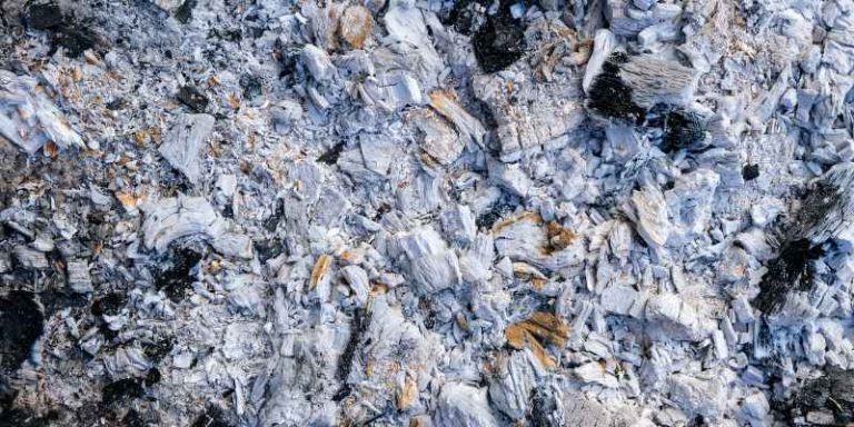 Best Wood Ash for Chickens: Ultimate Guide for Healthy Hens