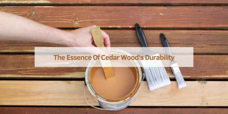 Can Cedar Wood Get Wet: Unveiling the Truth