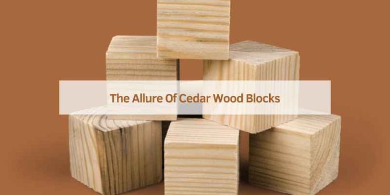 Cedar Wood Blocks: Ultimate Freshness & Pest Control