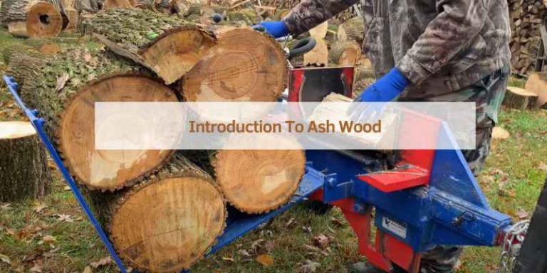 Does Ash Wood Split Easily? Unveiling Its Durability