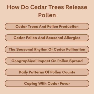 How Do Cedar Trees Release Pollen: Seasonal Allergy Alert