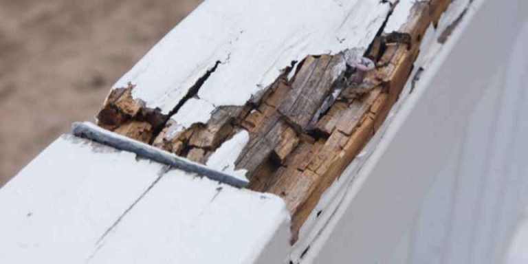 How To Determine if Wood is Rotten: Expert Tips for Spotting Decay