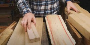 How To Easily Identify Wood Types and Make Informed Choices