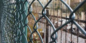 How to Attach Wire Mesh to Wood Fence: Easy Tips & Tricks