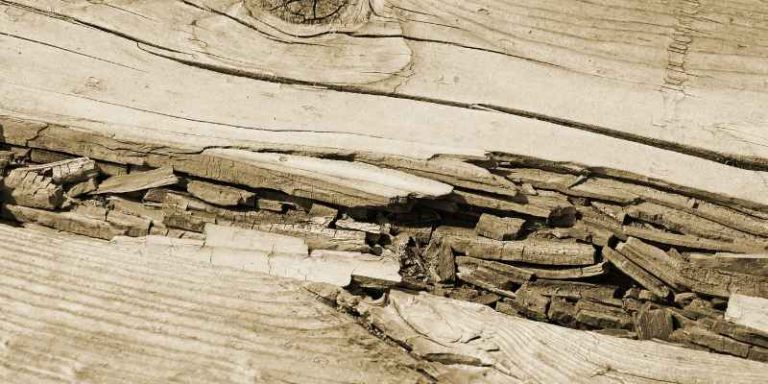How to Stop Wood Rot on Deck: Ultimate Guide for Preventing and ...