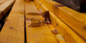 Is Number 2 Prime Wood Treated: Everything You Need to Know