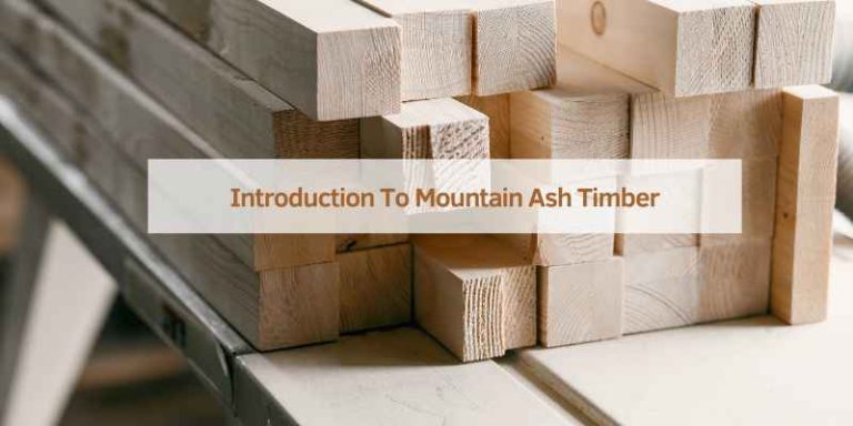 Mountain Ash Timber: The Ultimate Guide to Its Uses