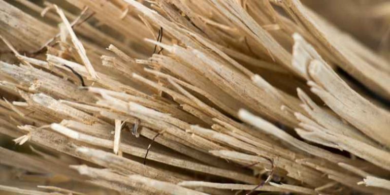 Splinter Wood: Unlock the Hidden Power of Wooden Splinters