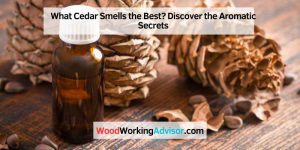 What Cedar Smells the Best? Discover the Aromatic Secrets