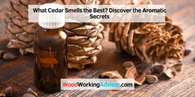 What Cedar Smells the Best? Discover the Aromatic Secrets