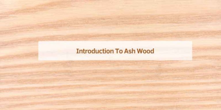 What is Ash Wood: Unveiling Its Beauty & Durability