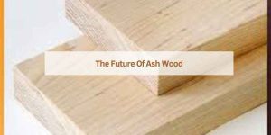 What is Ash Wood: Unveiling Its Beauty & Durability