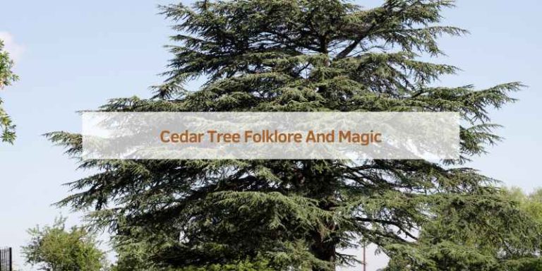 What is the Meaning of Cedar Tree: Symbolism Unveiled