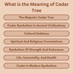 What is the Meaning of Cedar Tree: Symbolism Unveiled