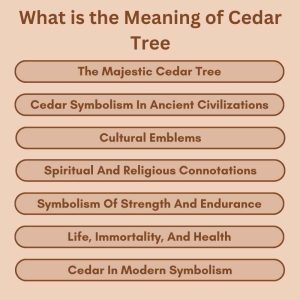What is the Meaning of Cedar Tree: Symbolism Unveiled