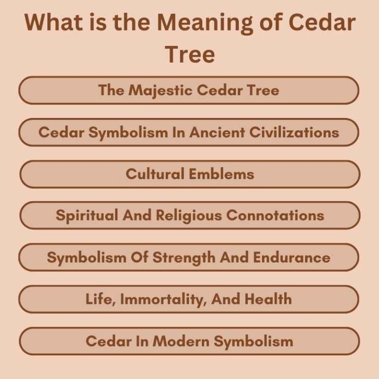 What is the Meaning of Cedar Tree: Symbolism Unveiled