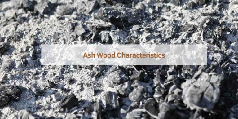 What to Do With Ash Wood: Transform Your Space!