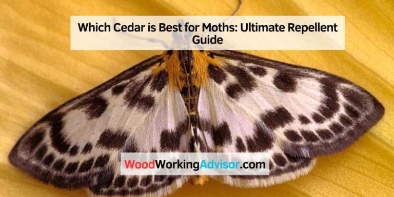 Which Cedar is Best for Moths: Ultimate Repellent Guide