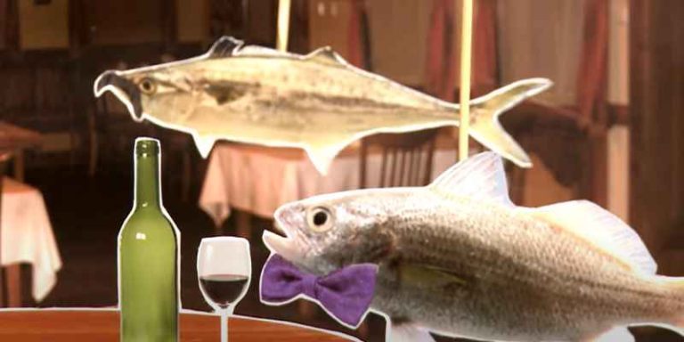 Why Does MDF Smell Like Fish? Uncover the Mystery!