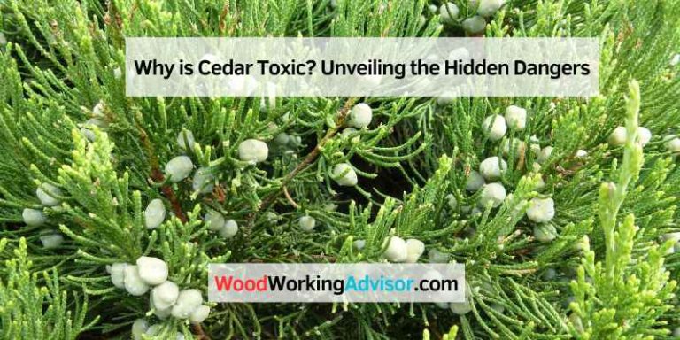 Why is Cedar Toxic? Unveiling the Hidden Dangers