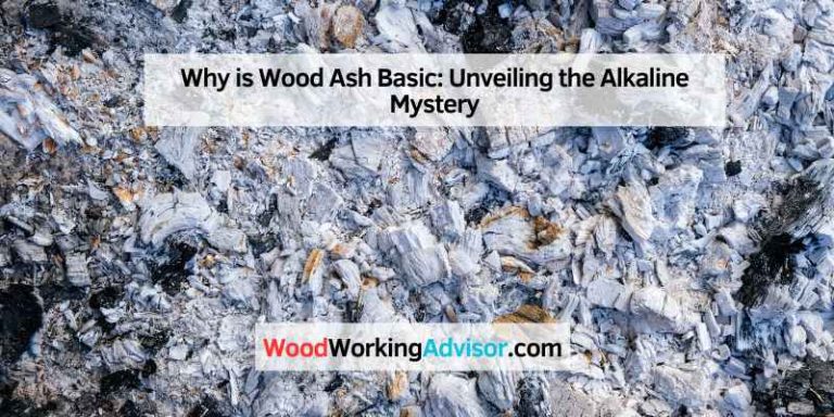 Why is Wood Ash Basic: Unveiling the Alkaline Mystery