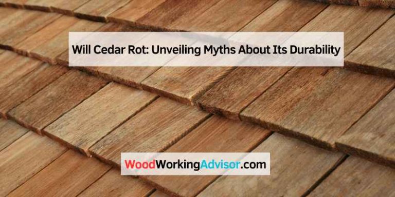 Will Cedar Rot: Unveiling Myths About Its Durability
