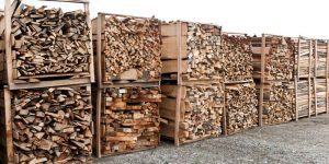 Fallout 76 How to Get More Wood: Ultimate Tips & Tricks