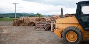 Fallout 76 How to Get More Wood: Ultimate Tips & Tricks