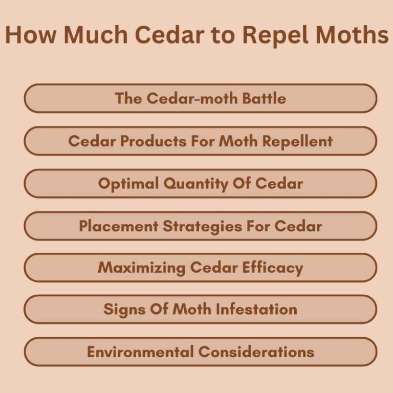 How Much Cedar to Repel Moths: Effective Strategies