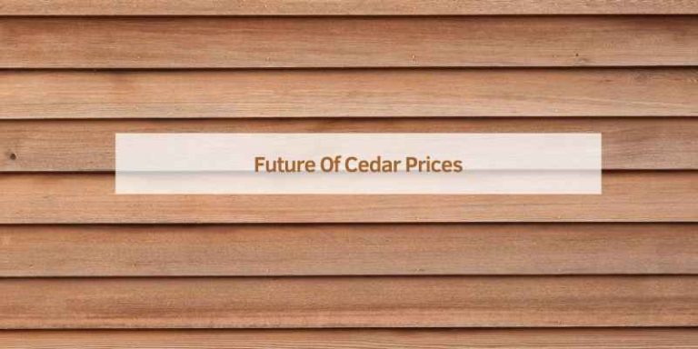 How Much Does Cedar Cost: Unveiling the Price Factors