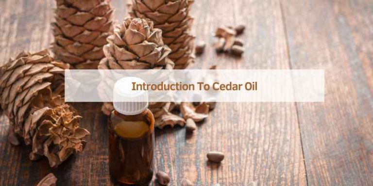How to Make Cedar Oil: A Step-by-Step DIY Guide