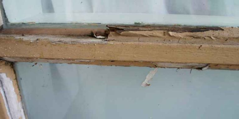 How to Make Wood Rot Faster: Quick & Effective Tips