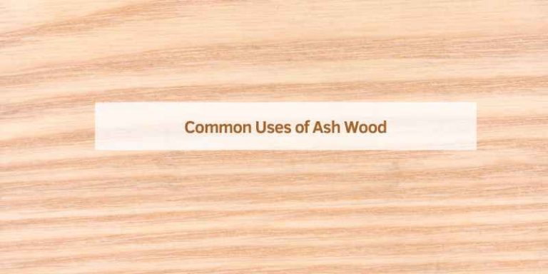 Natural Ash Wood: Unveil the Elegance in Your Space