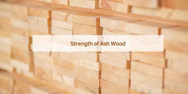 Properties of Ash Wood: Unveiling Its Strength & Elegance