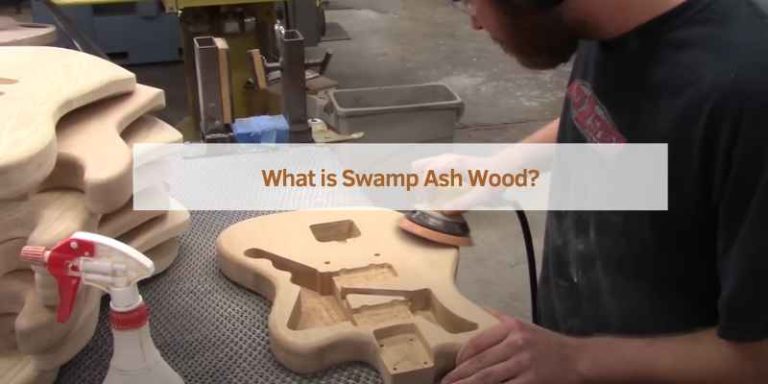 Swamp Ash Wood: Unlock the Secret to Superior Guitar Tone