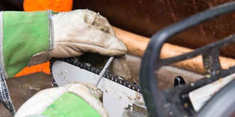 What Size Chainsaw File Do I Need?: Sharpen Like a Pro
