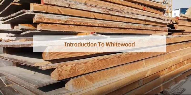 What is Whitewood? Unveiling the Secrets of This Lumber