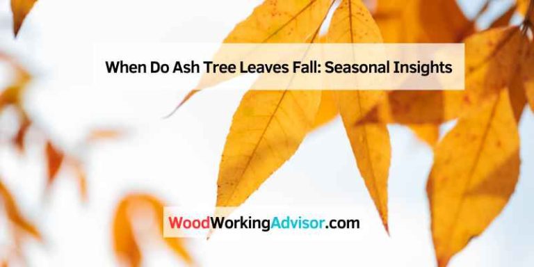 When Do Ash Tree Leaves Fall: Seasonal Insights