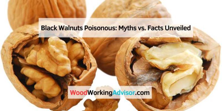 Black Walnuts Poisonous: Myths vs. Facts Unveiled