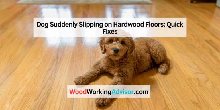 Dog Suddenly Slipping on Hardwood Floors: Quick Fixes