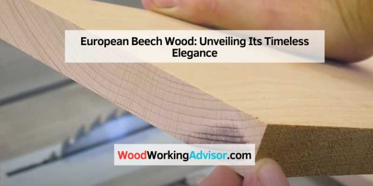 European Beech Wood: Unveiling Its Timeless Elegance