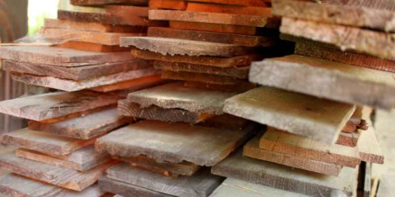 How Do You Calculate the Value of Timber: Expert Tips