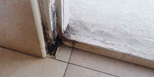 How to Repair Rotted Wooden Door Frame: Quick Fixes!
