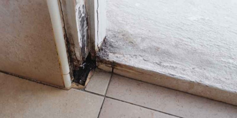 How to Repair Rotted Wooden Door Frame: Quick Fixes!