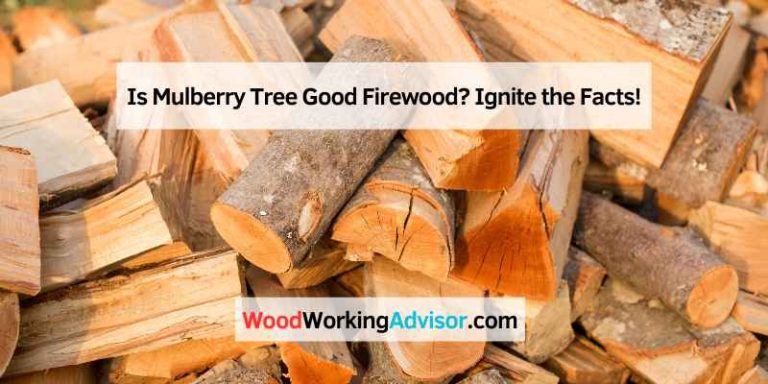 Is Mulberry Tree Good Firewood? Ignite the Facts!
